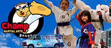 $50 for One Month of Martial Arts Lessons from Champ Martial Arts ...